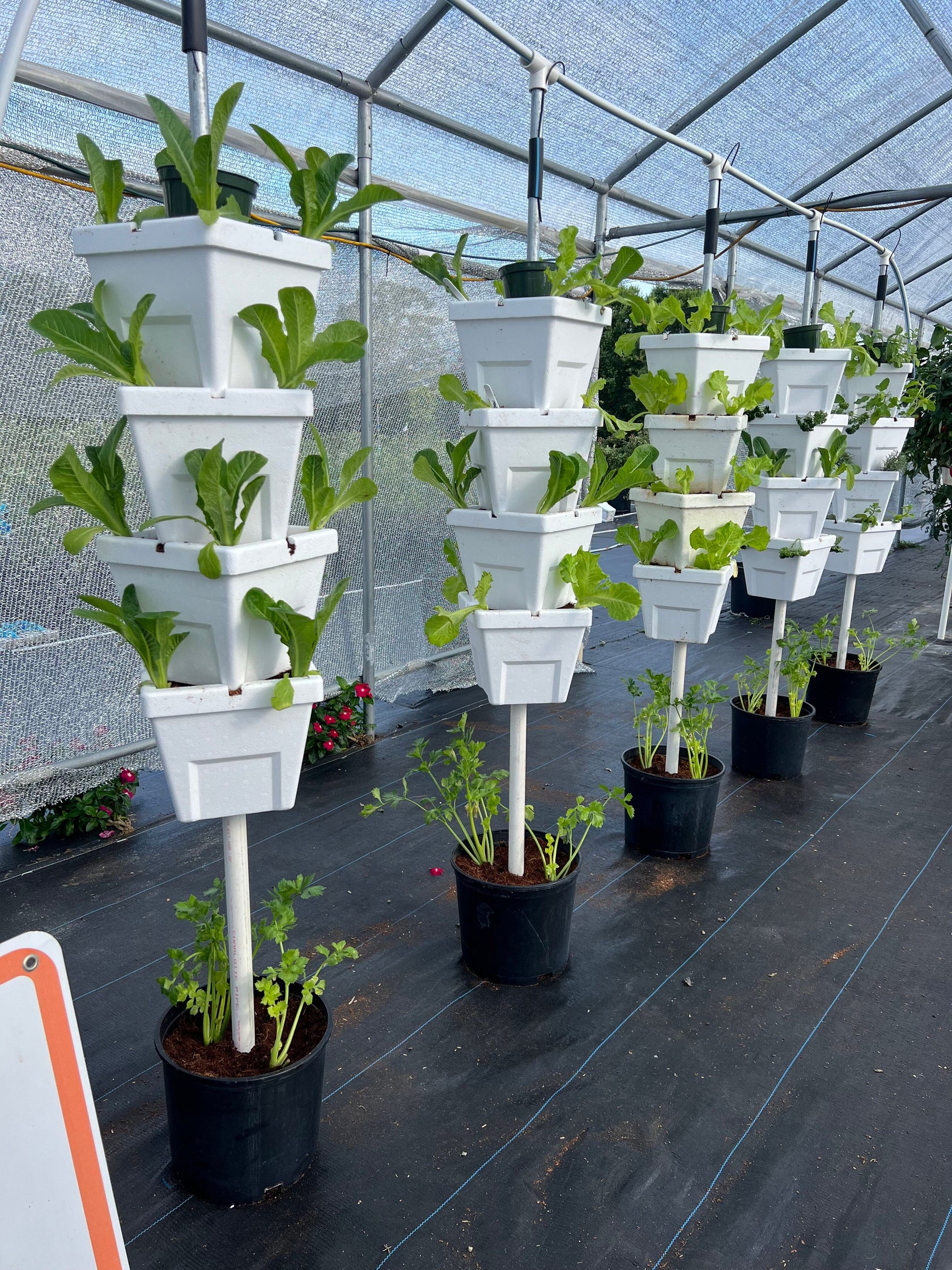 5-Tower Self-Watering Vertical Garden – Verti-Gro