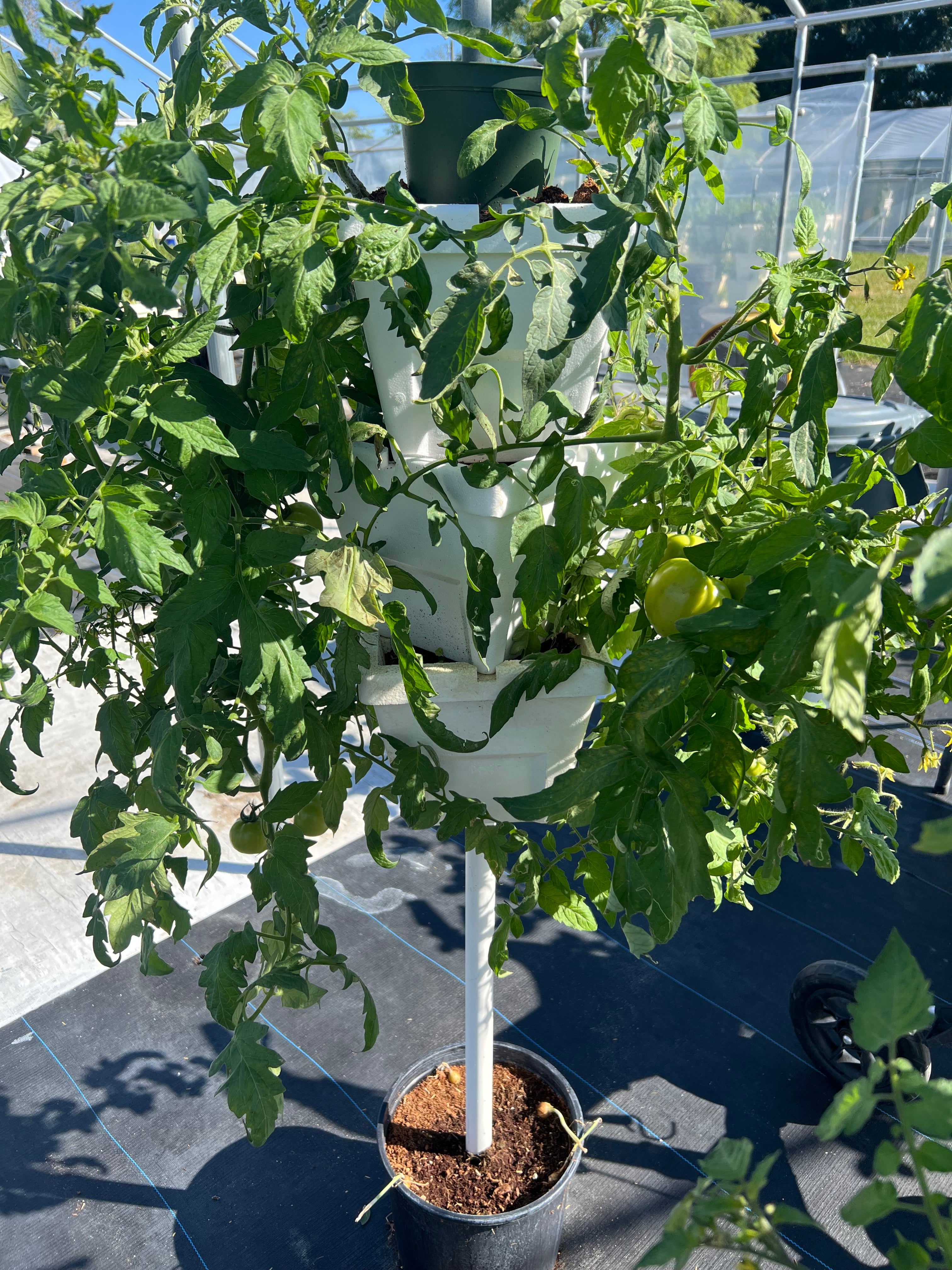 Single Tower Vertical Garden Starter Kit – Verti-Gro